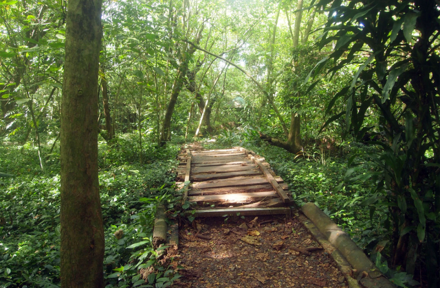 Uncharted Philippines | Discovering three of the Philippines' top hikes