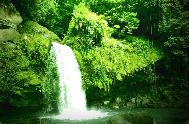 Uncharted Philippines | The Top Three Waterfalls of Laguna Province